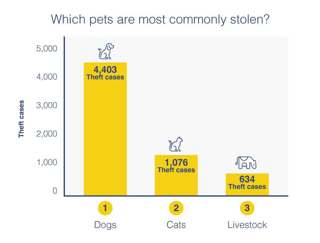 UK Pet Theft Report 2023 | Most Stolen Pets | ADT